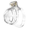 M1 Flat Chastity Cage - Chastity Boutique